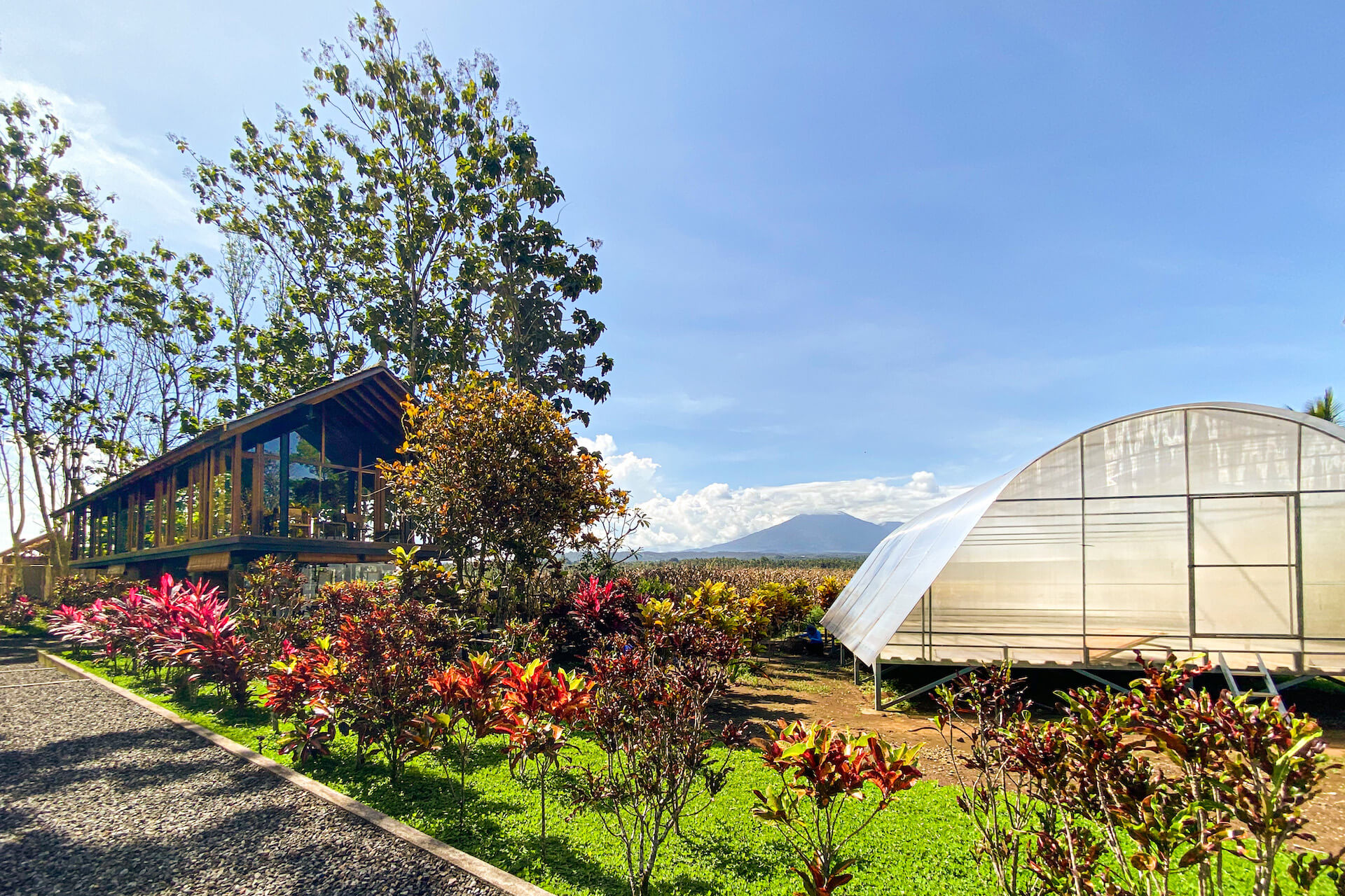 Organic Food | Natural Products | Healthy Living | Talasi